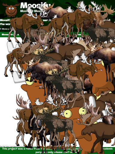 Mathew Moose | Writing for Digital Media