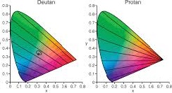 Colour vision deficiencies - Innovative Eye Care