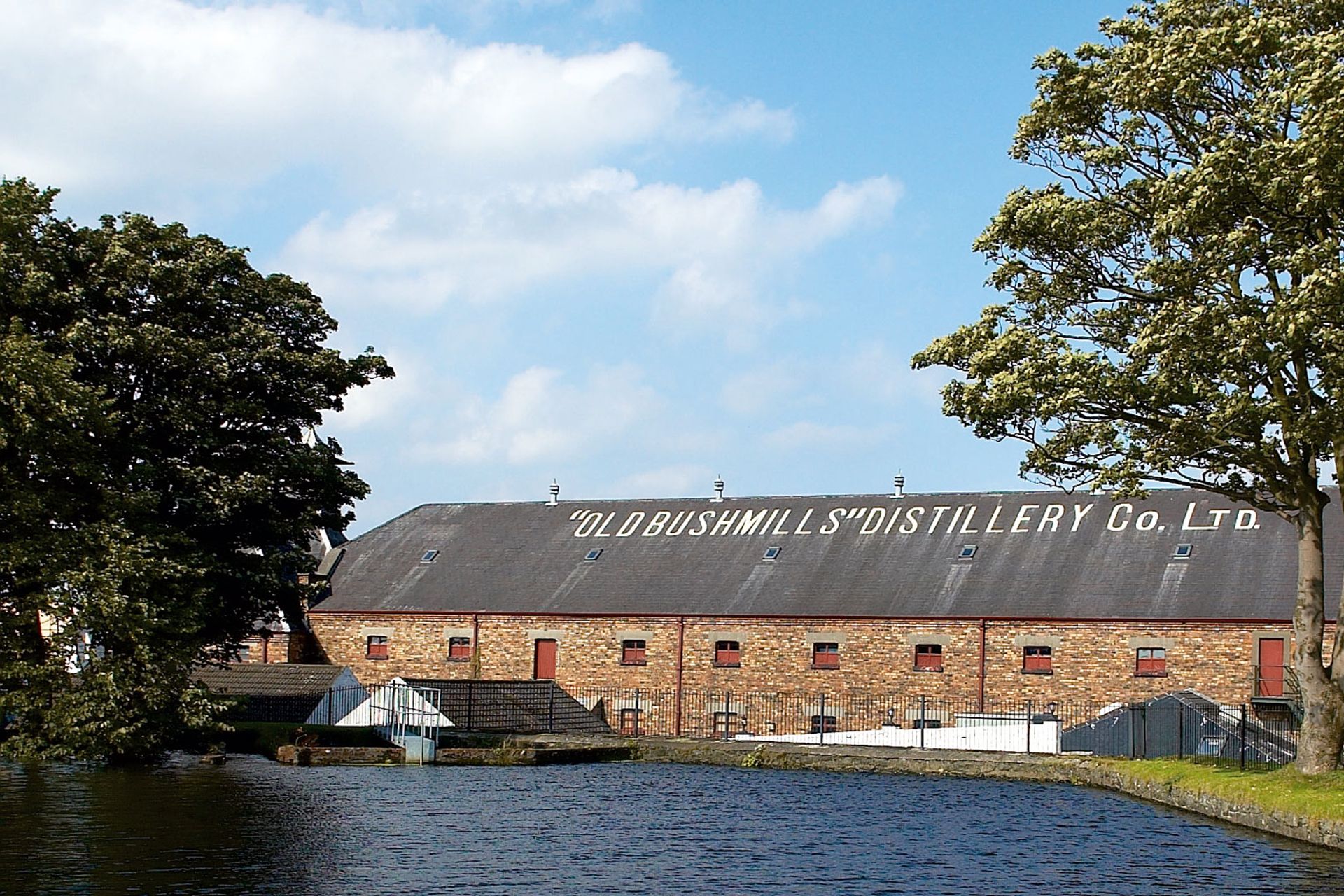 Giant's Causeway Tour | Giant's Causeway, Antrim Coast, Bushmills ...
