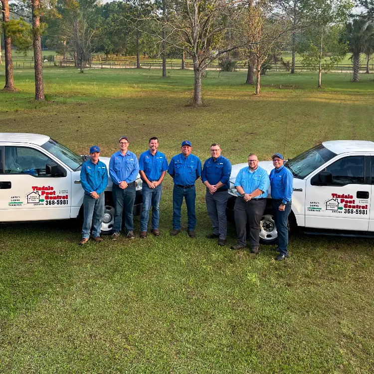 Pest Control | Citra, Florida in Marion County | Tindale Pest Control