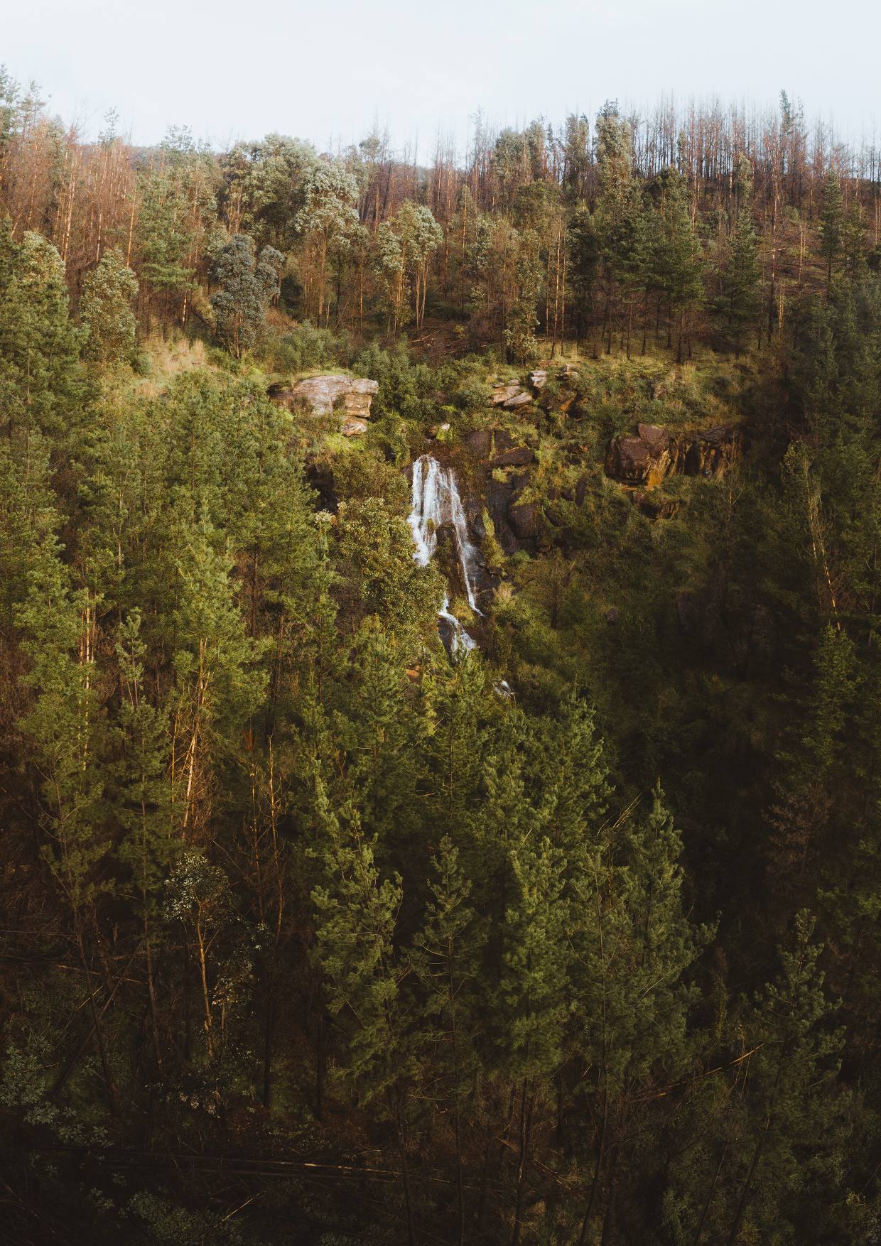 Stephen Norman Photography - Adventurer / Photographer