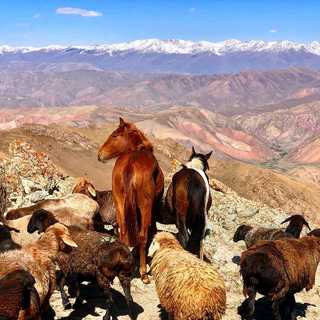 Piligrimas: Egzotinės kelionės, poilsis, nuotykiai! | Piligrimas