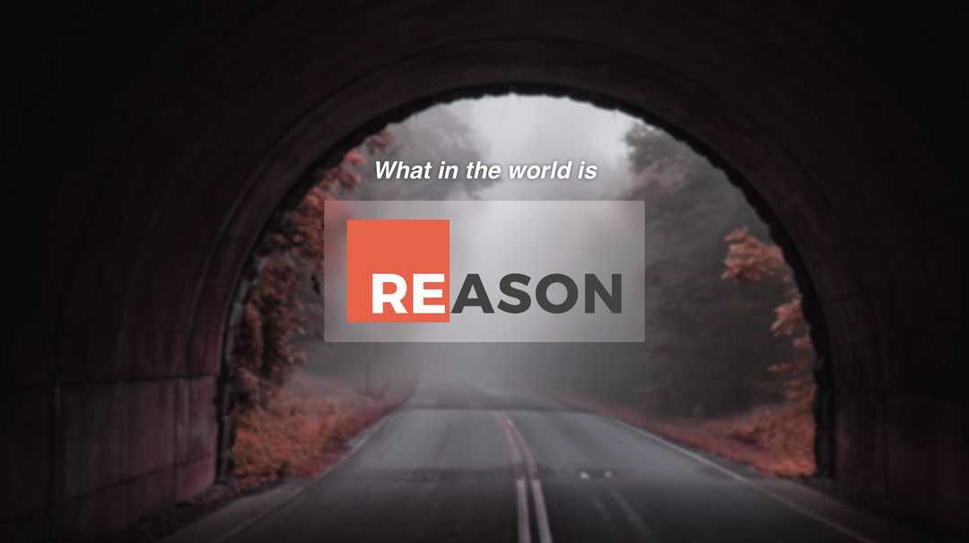 What is Reason? | Benevolent Bytes