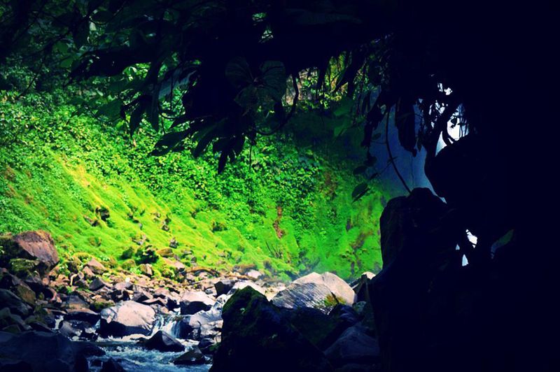 La Fortuna Waterfall Arenal Volcano Costa Rica