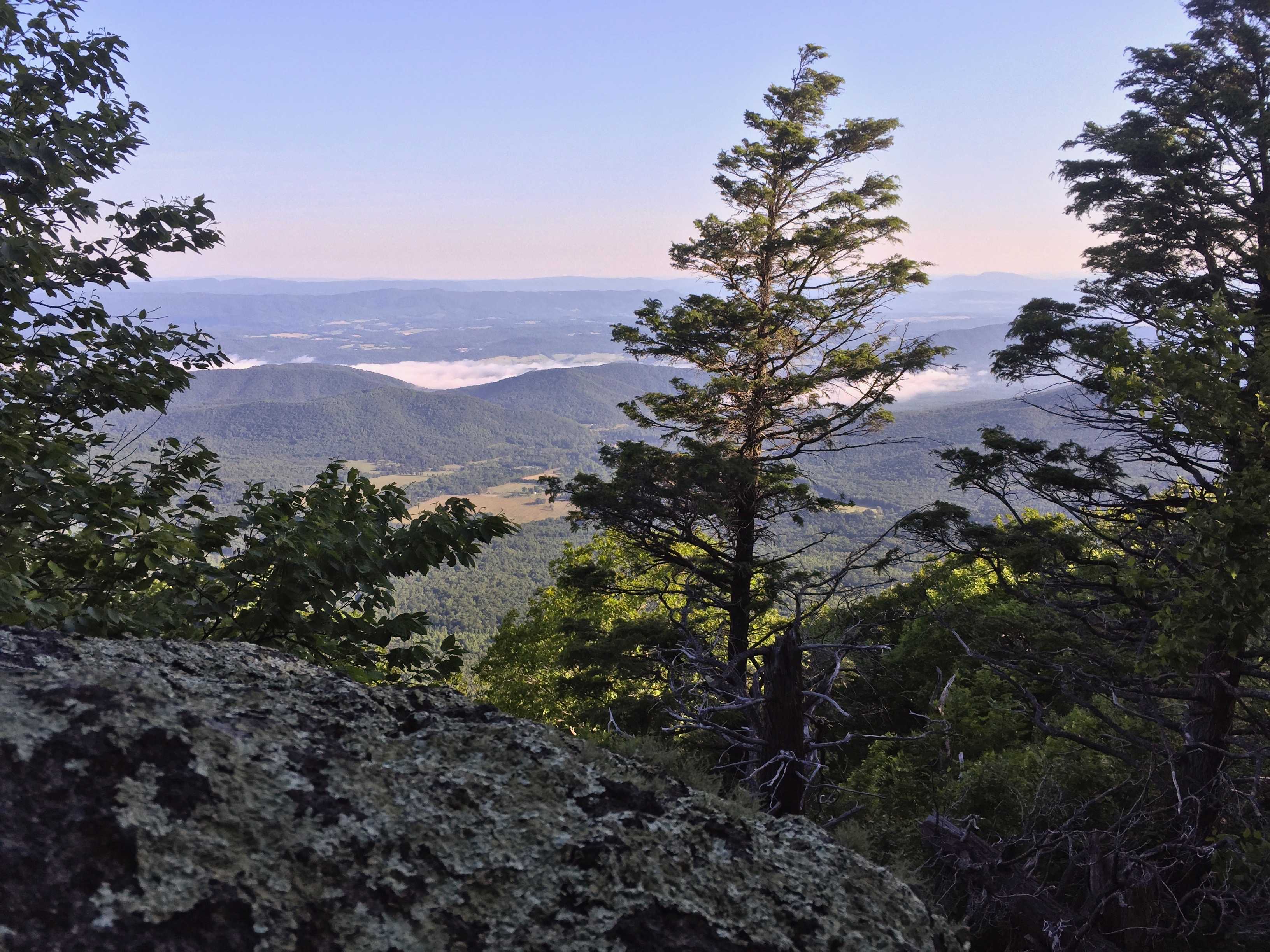 AT 2017: Day 61, Thunder Hill Shelter to U.S. 501 | Hike with Gravity