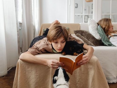 Reading comprehension for SEN learners | Bedrock Learning