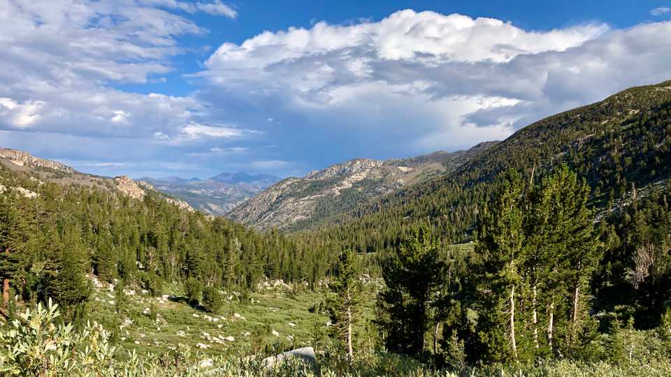 PCT 2019: Day 122, Carson River to Kennedy Canyon Creek | Hike with Gravity