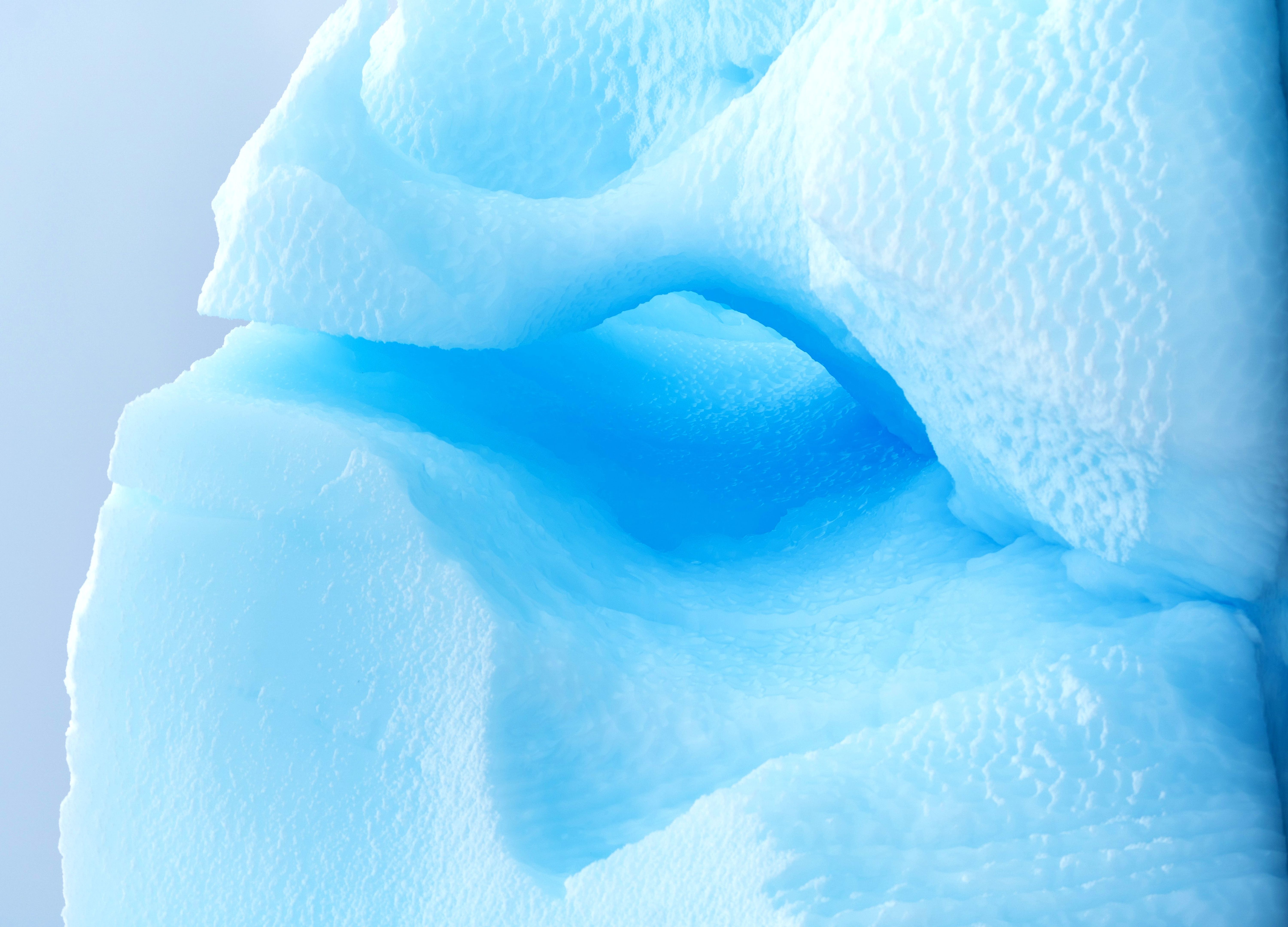 Microcitosis: qué es, causas y tratamiento