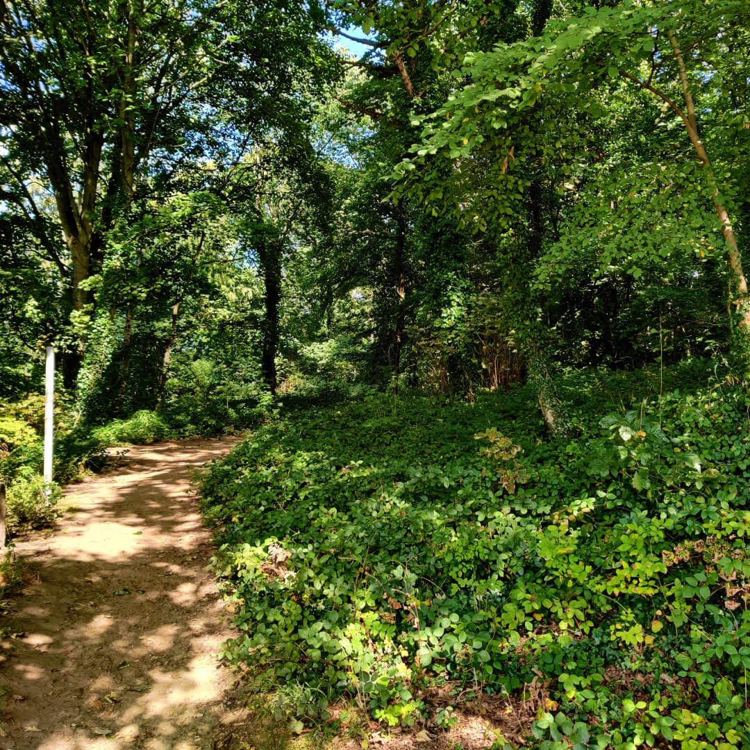 Hawksworth Wood - Discover Leeds