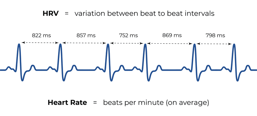 Heart Rate Variability (HRV) – Is the Hype Justified? – Nyxo