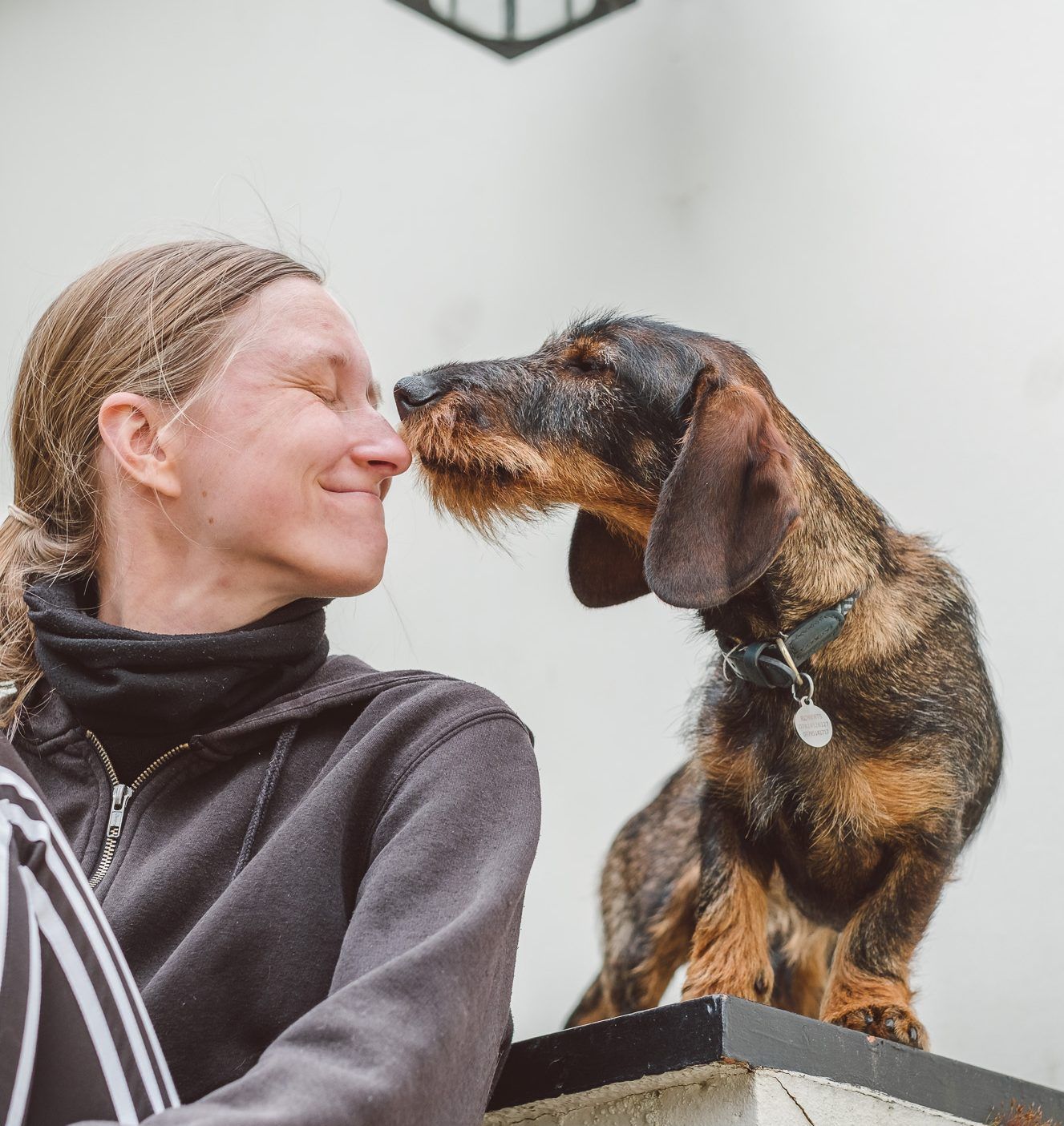 Rover review – our experience as pet sitters | Chris & Suze Go Walkies