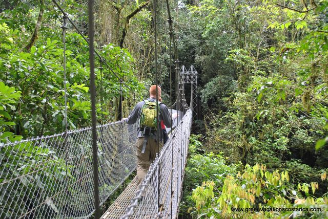 Natural History Walk Arenal Hanging Bridges
