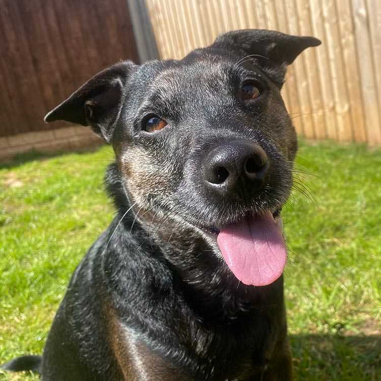 Whether he’s making them laugh or helping them recover from surgery ...