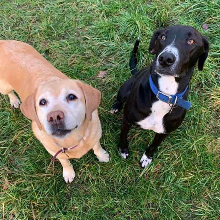 Max and Millie might be chalk and cheese, but they are the perfect pair ...