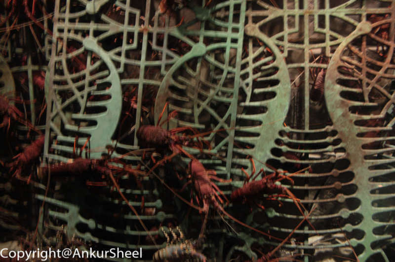 Atlantis The Lost Chambers