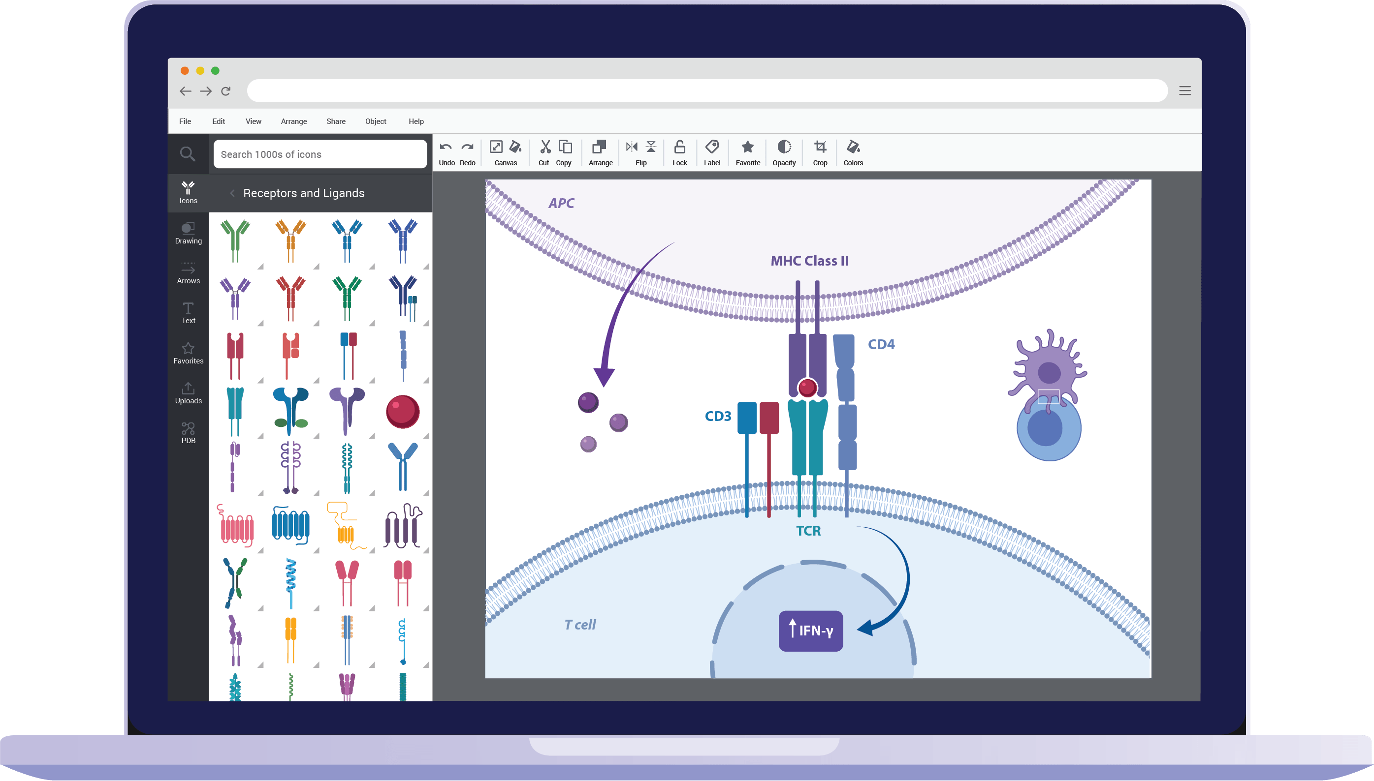 BioRender - About Us
