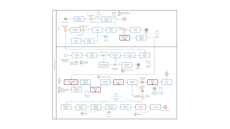 BPMN becomes corporate practice in healthcare | Cardanit Use case