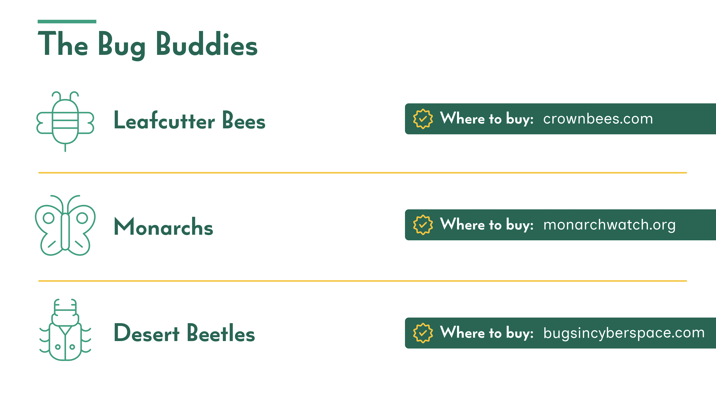 Bonkers for Bugs Presentation – Hello, I’m Joni