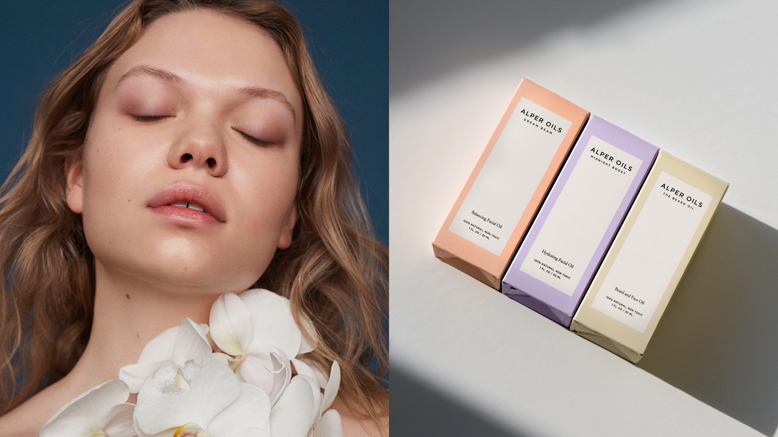 World Creation Network