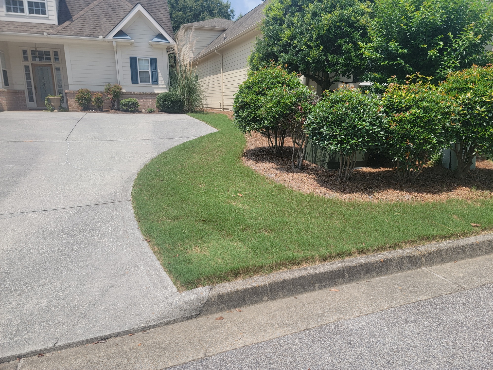 Hector the Lawn Inspector