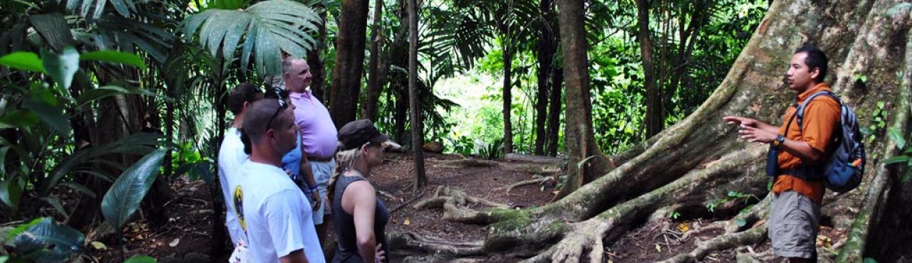 Arenal Volcano National Park Costa Rica