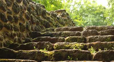 Code Bushi | Web Development Resources, Trends, & Techniques