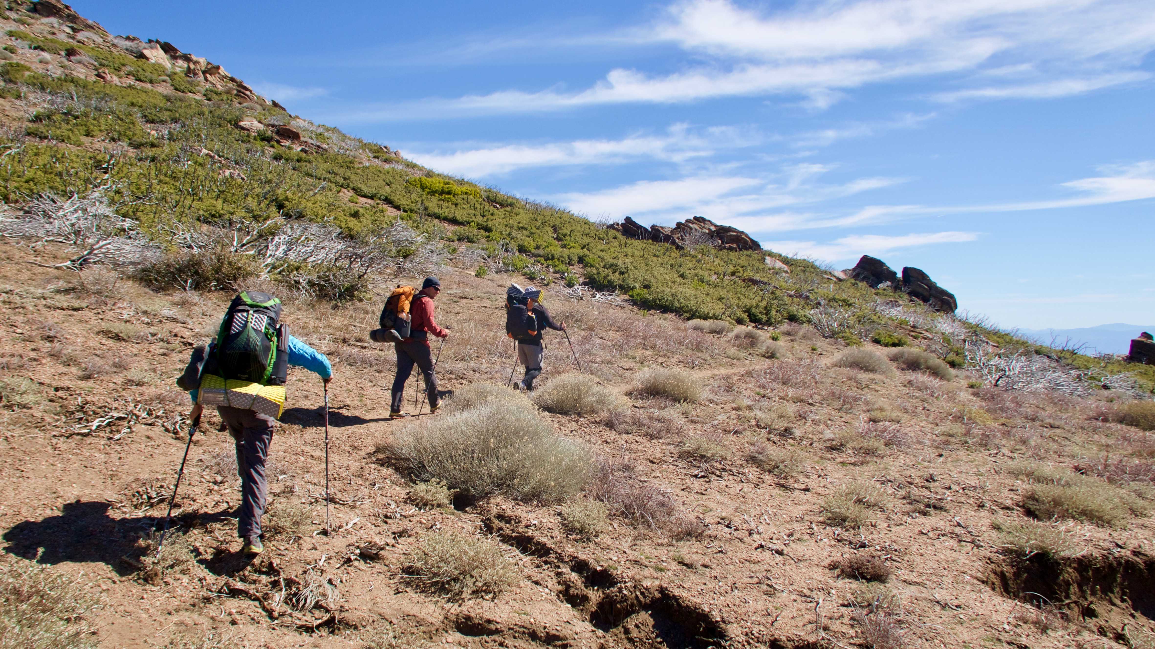 PCT 2019: Day 15, Fobes Ranch Trail Jct. to Tentsite at Mile 176.4 ...