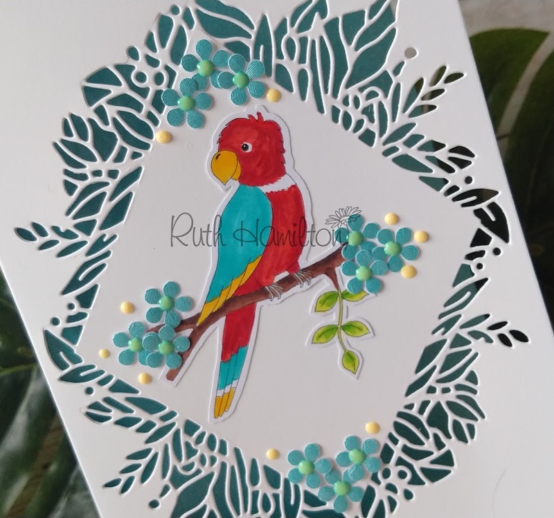 Cute Parrot | Ruth Hamilton Design