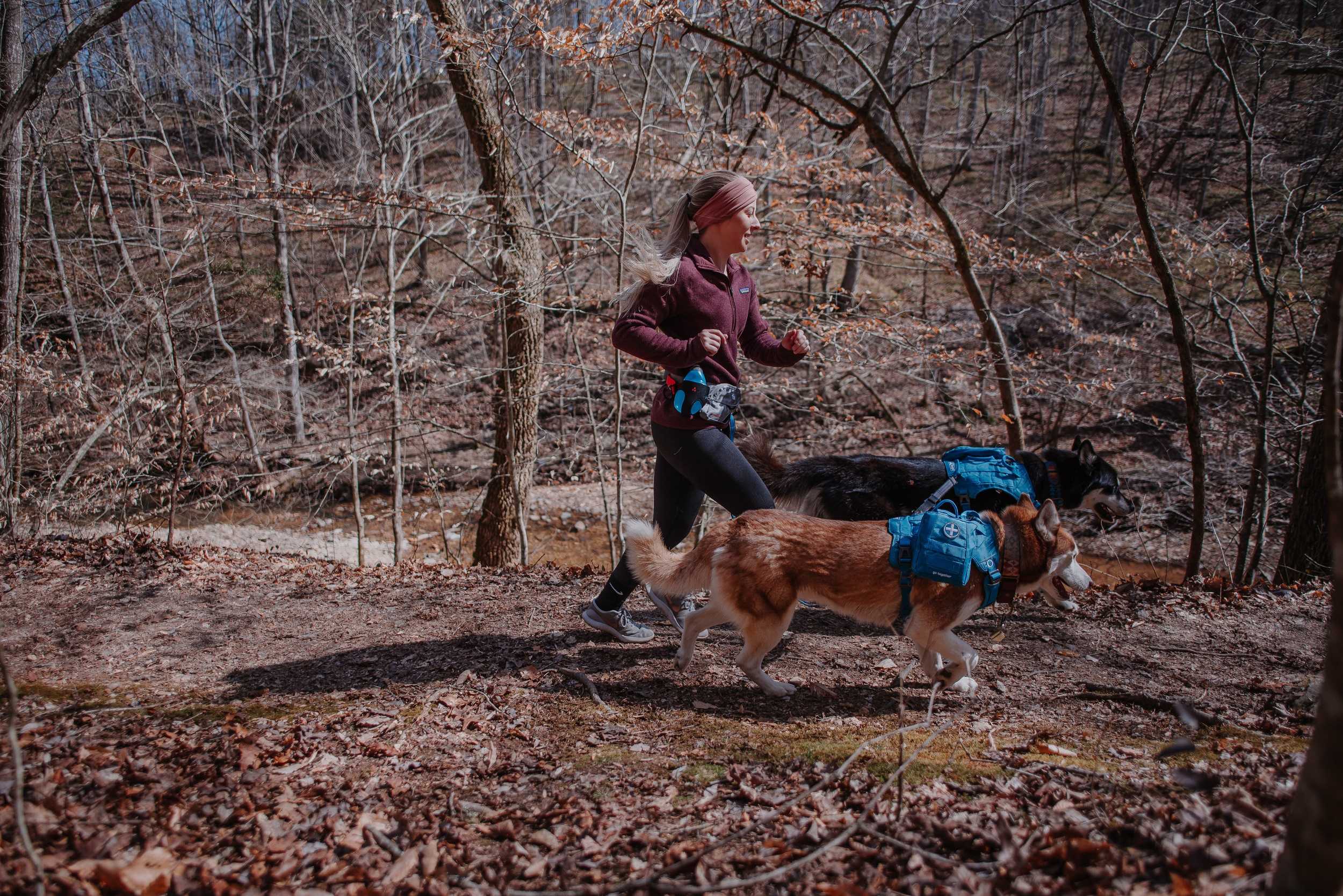 Top 5 Essentials You Need To Start Trail Running - Kurgo Dog Products