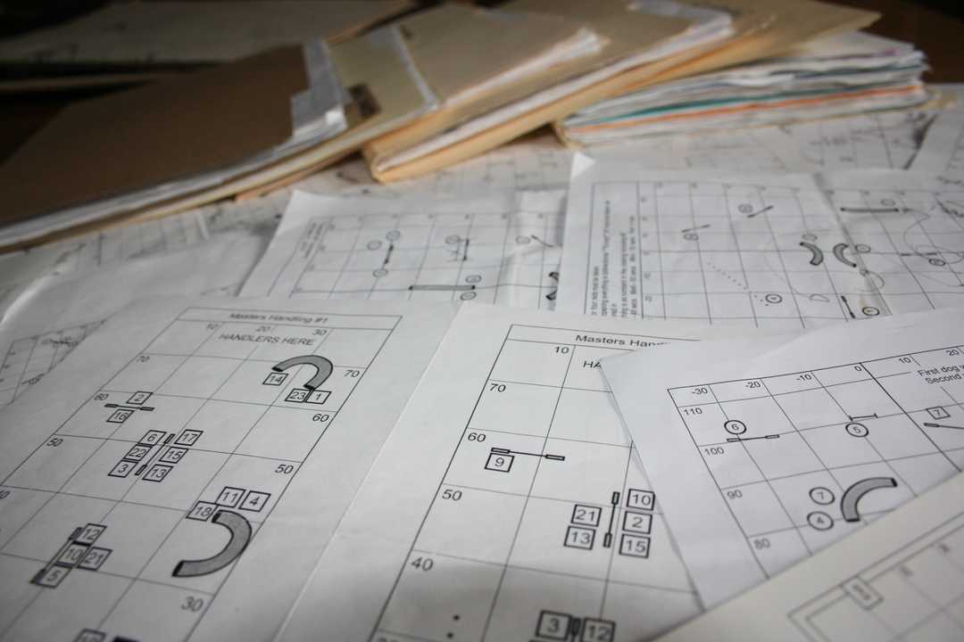 Can You Handle It? Novice & Intermediate Courses | AgilityNerd