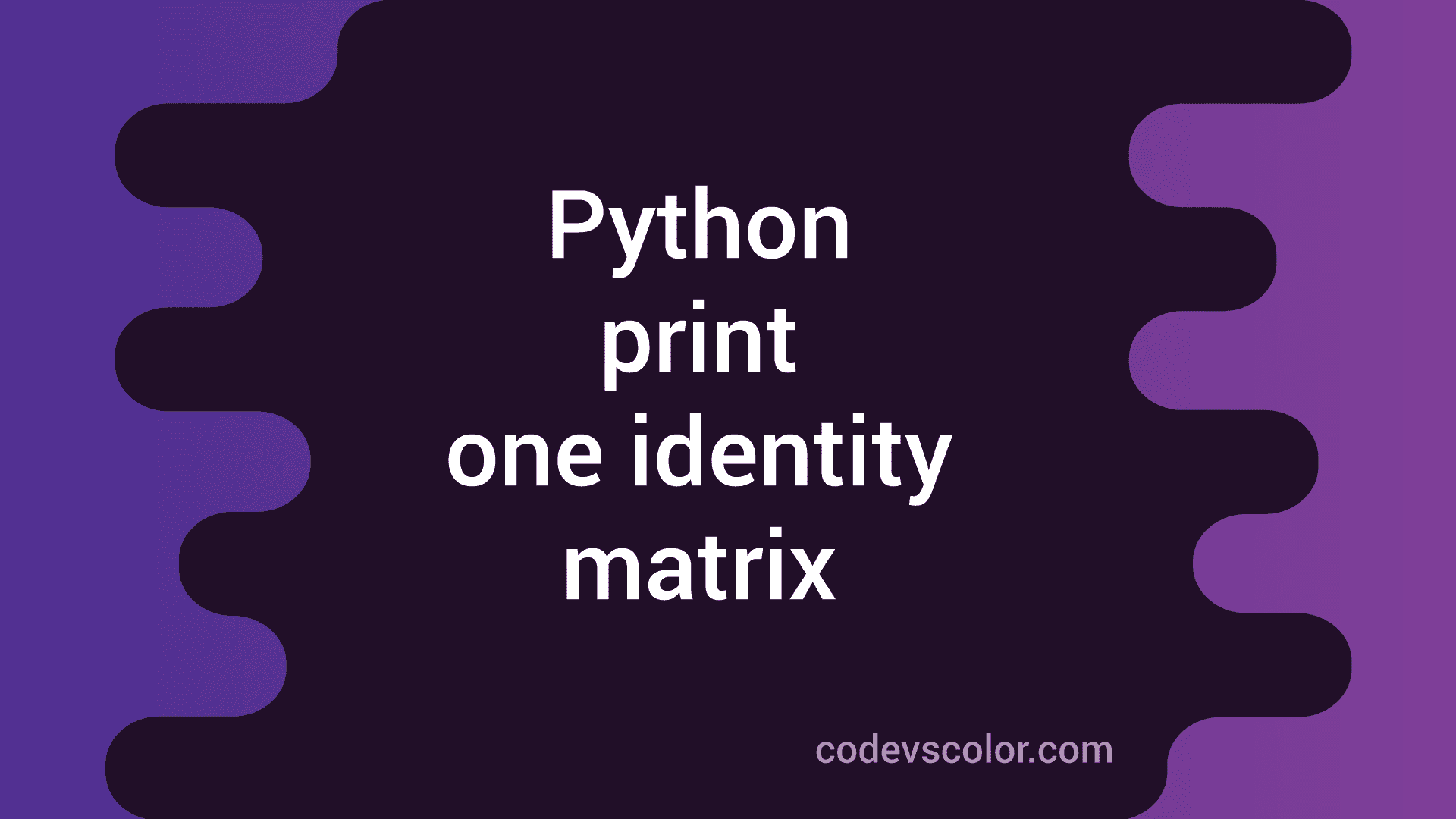 Python program to print one identity matrix - CodeVsColor