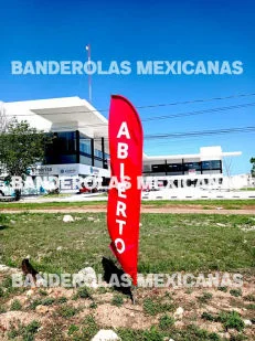 Galería de fotos - Trabajos hechos de Banderolas Mexicanas