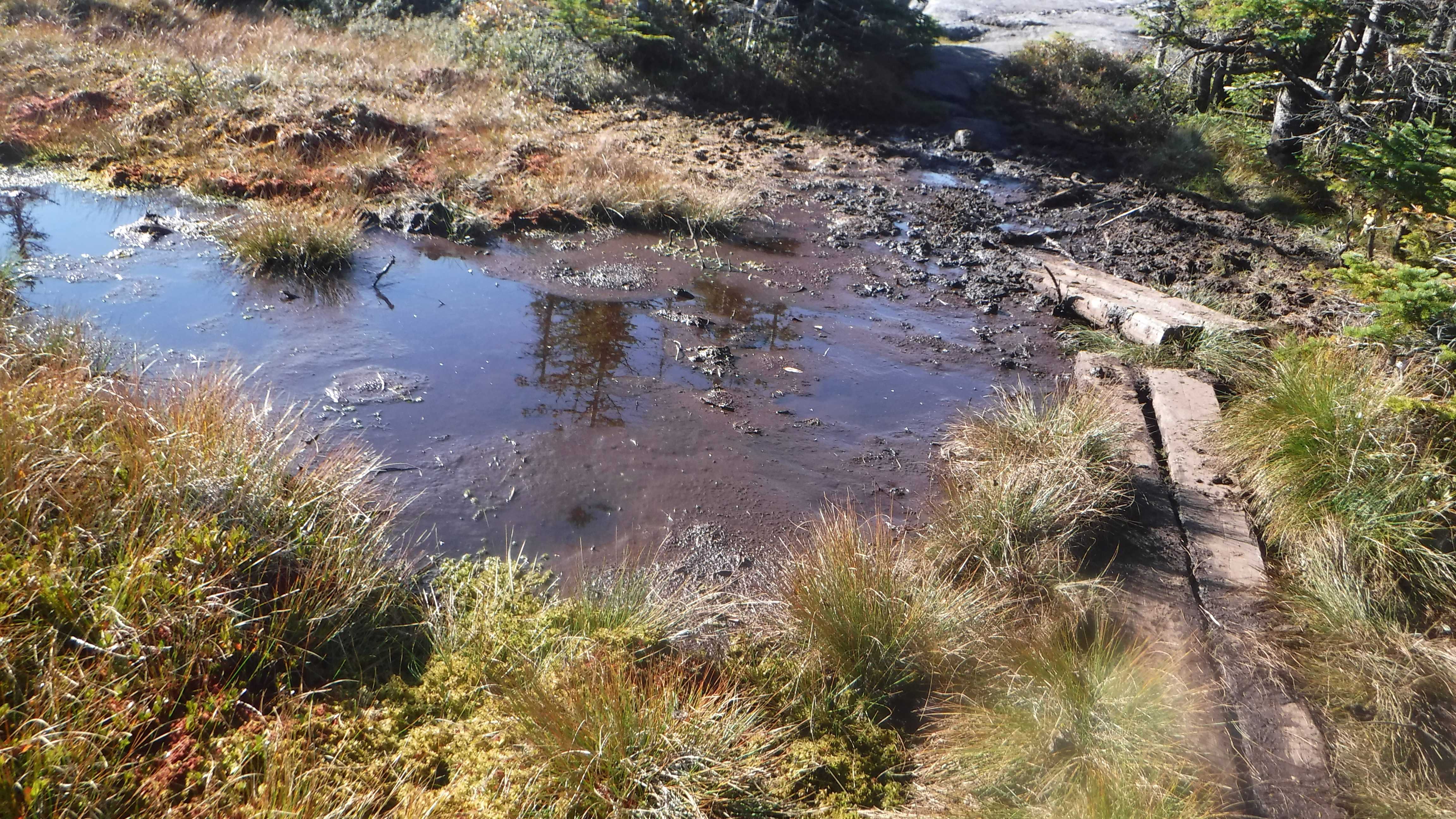 AT 2017: Day 156, Baldpate Lean-to to East B Hill Road (Andover) | Hike ...
