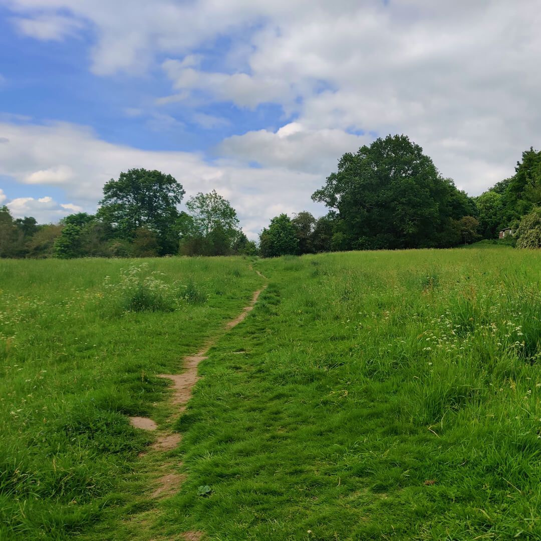 Meanwood Park - Discover Leeds