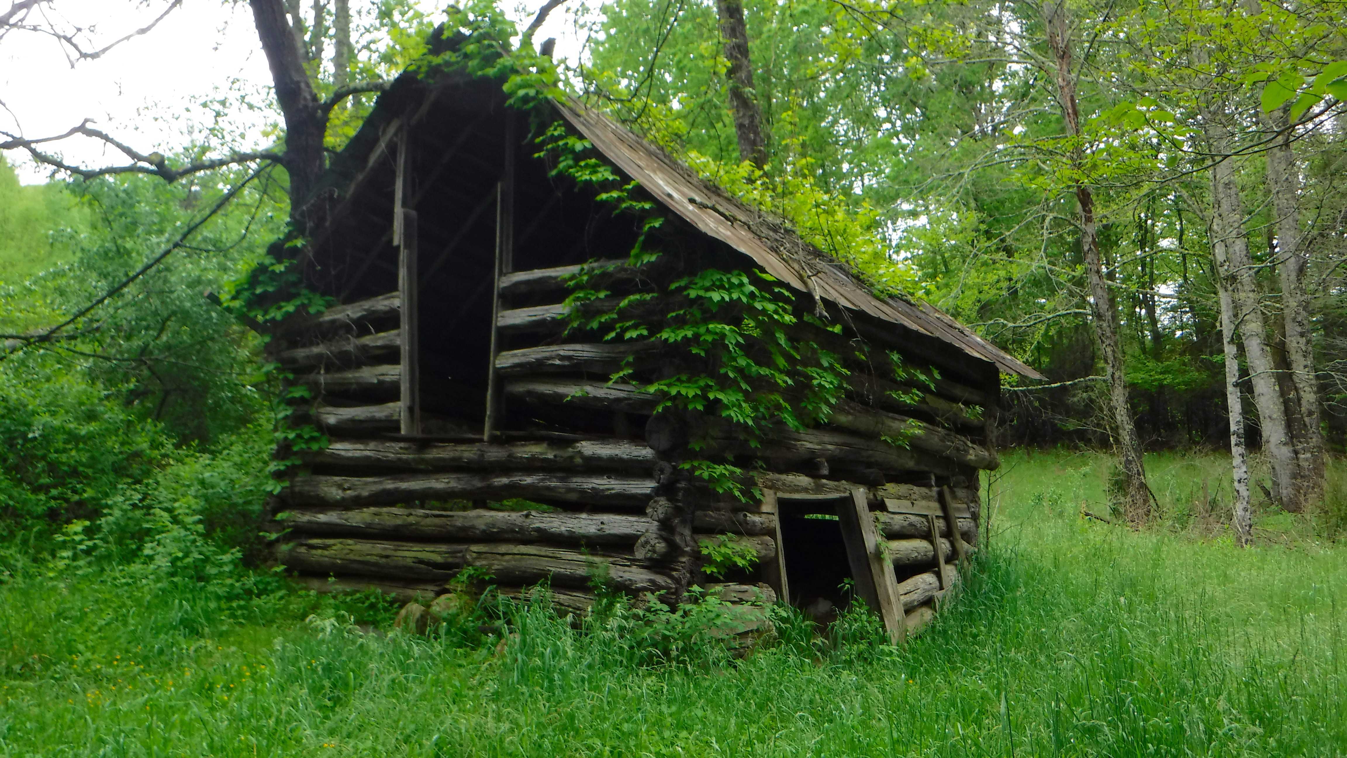 AT 2017: Day 33, Moreland Gap Shelter to Shook Branch Road | Hike with ...