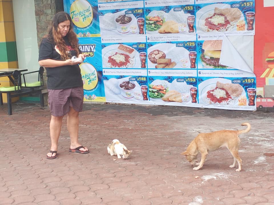 Feeding the Stray - Animal Rescue Ph Program