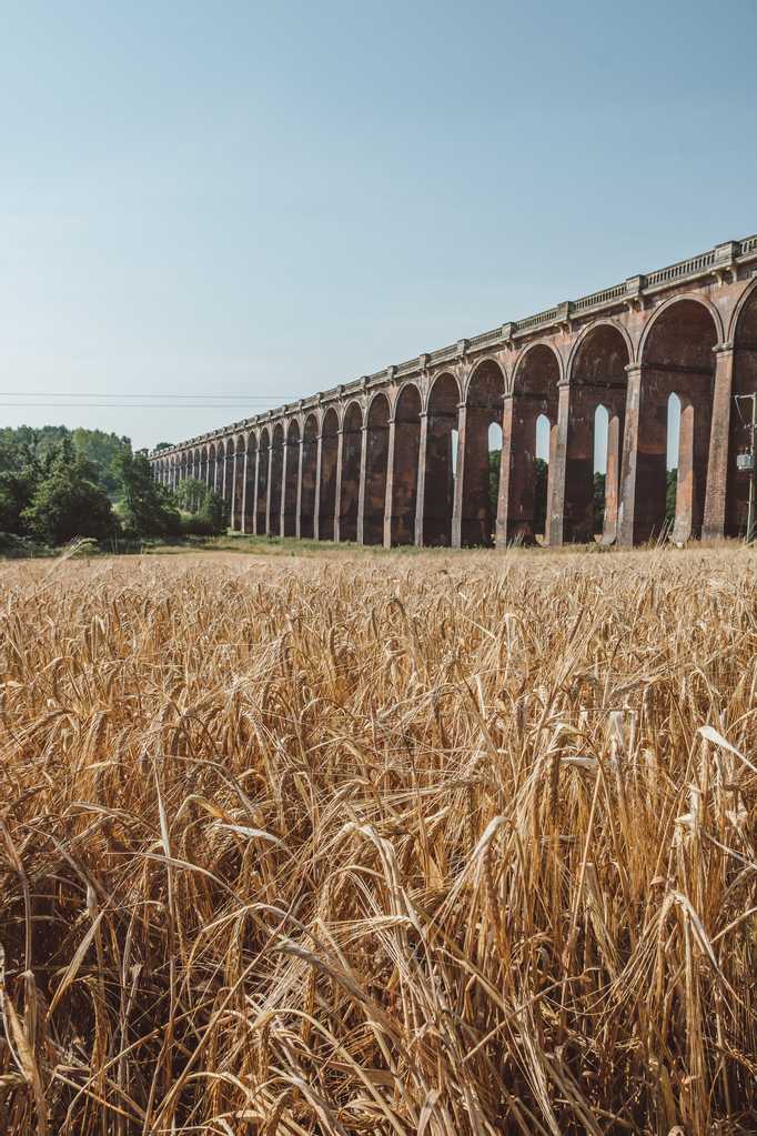 Visiting Ouse Valley Viaduct in Balcombe | Chris & Suze Go Walkies