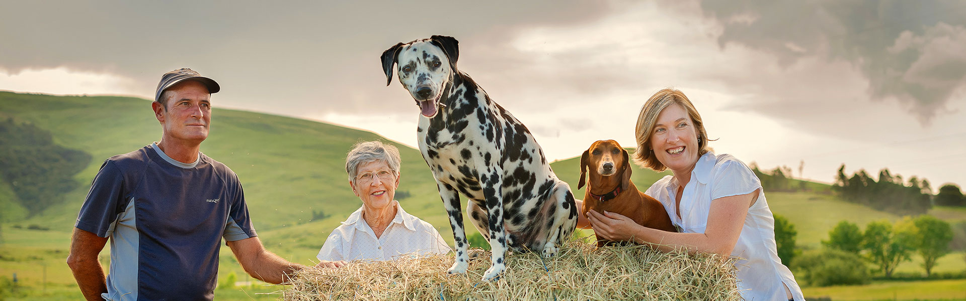 Welcome to Boston T Party | Boston T Party