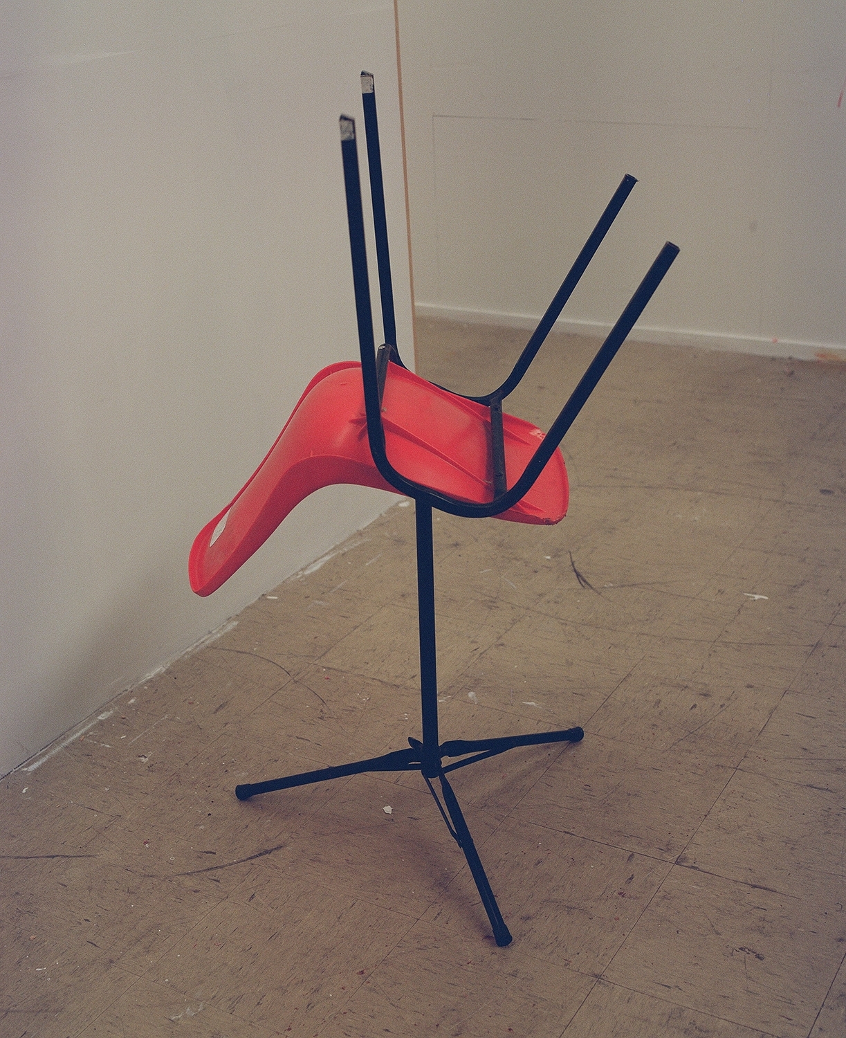 Nicholas Eckhardt