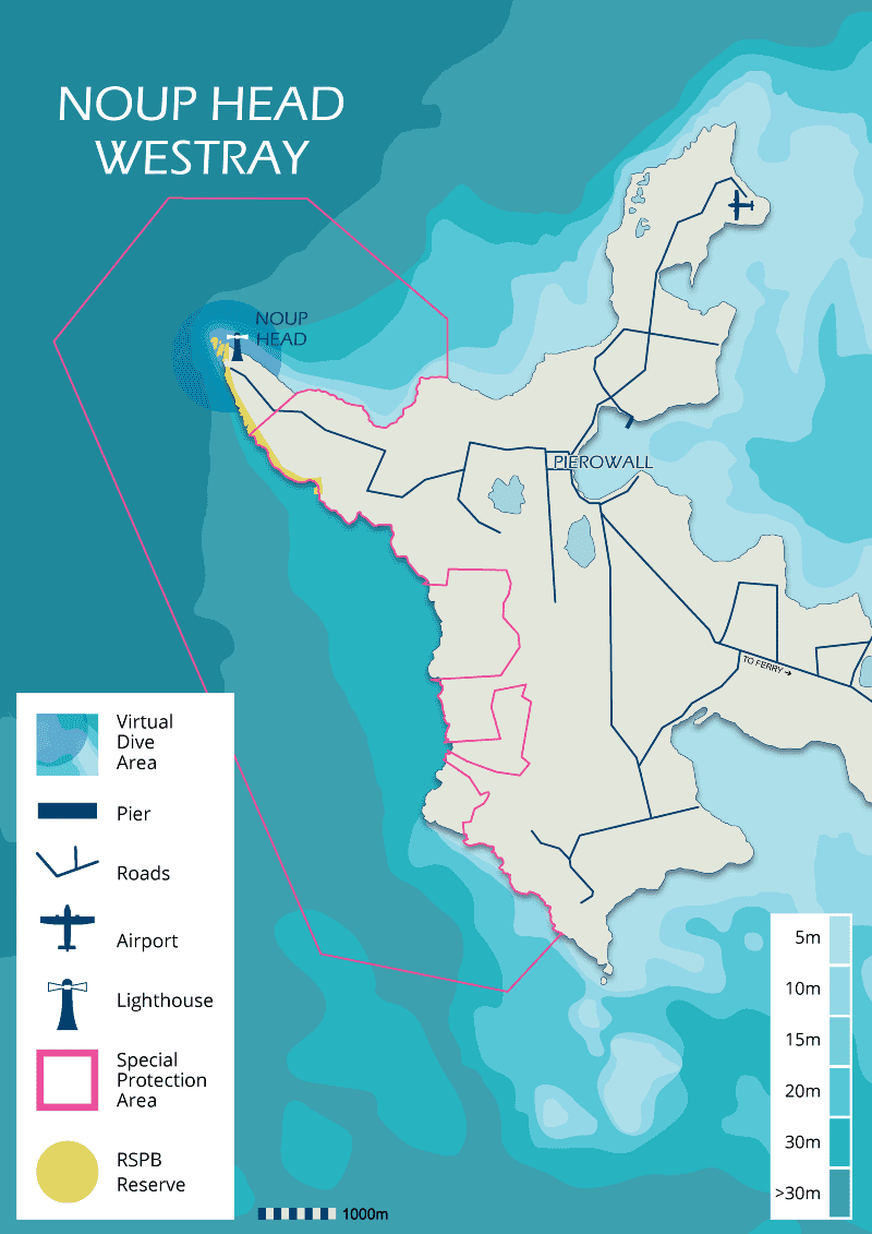 Westray, seabirds & reefs | Orkney North Isles Virtual Dive
