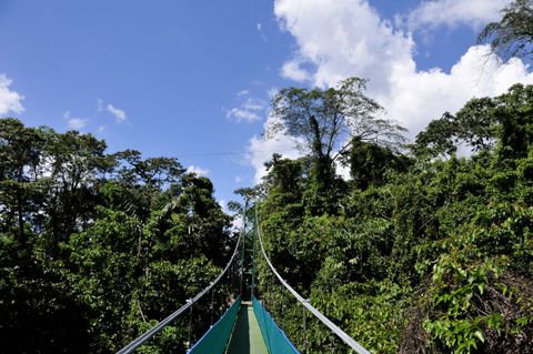 Arenal Hanging Bridges - Arenal Costa Rica
