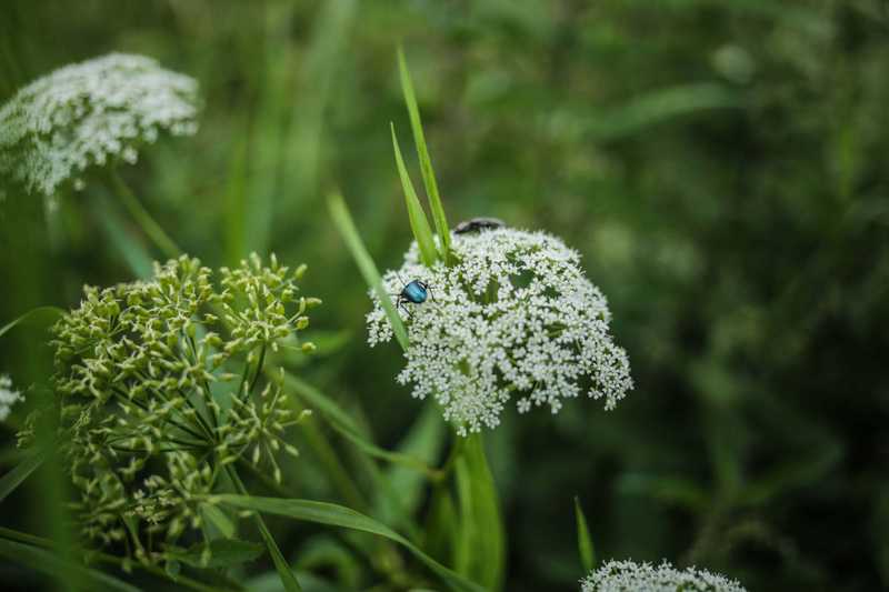 Articles page 2 | Leigh Halliday