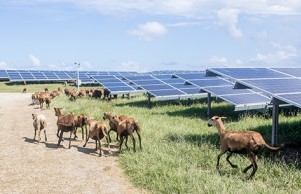 Cloud Solar Barbados - Start earning from the sun