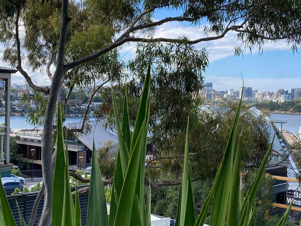 Pyrmont - Architectural Time Capsule Walk 2022 | UpNext