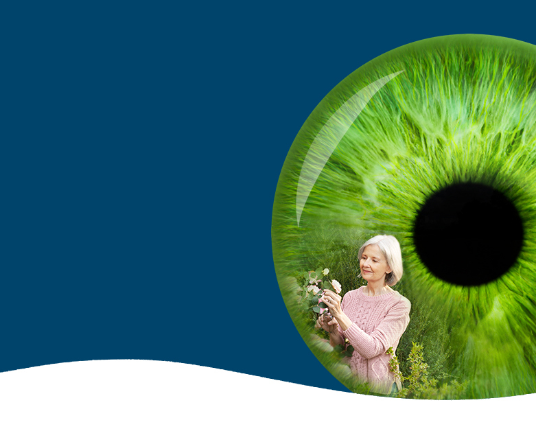 Understanding Wet Age-related Macular Degeneration (Wet AMD)