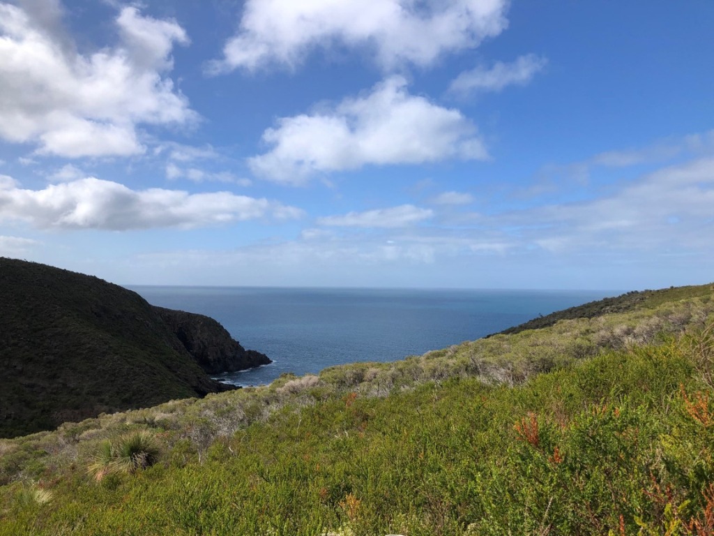 Festival of Nature Fleurieu Coast 2021 | UpNext