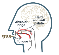 How to roll your R's: The definitive guide