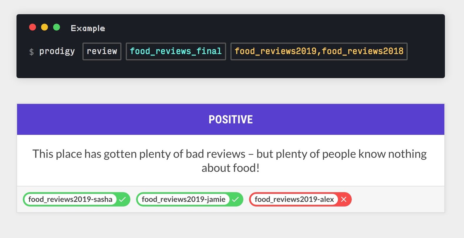 Prodigy 101 – everything you need to know · Prodigy · An annotation ...