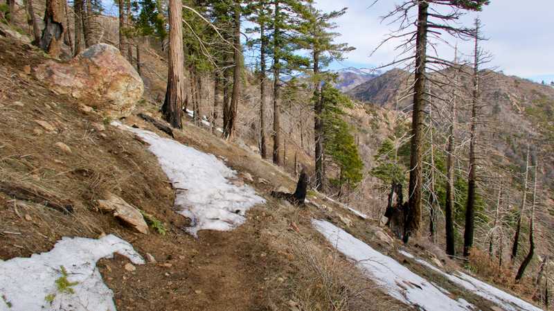 PCT 2019: Day 15, Fobes Ranch Trail Jct. to Tentsite at Mile 176.4 ...