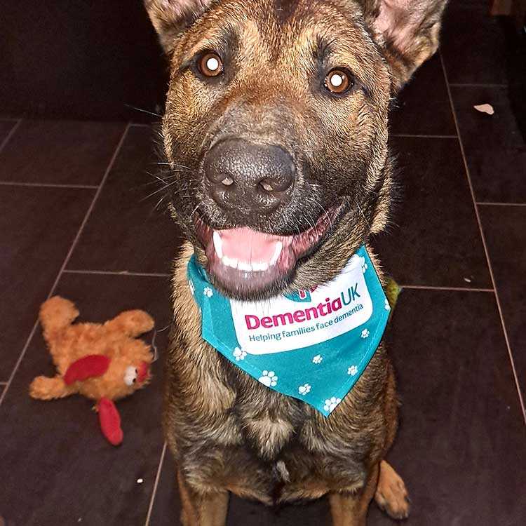 Pickle has brought nothing but happiness to his owner Lyndsey and her ...